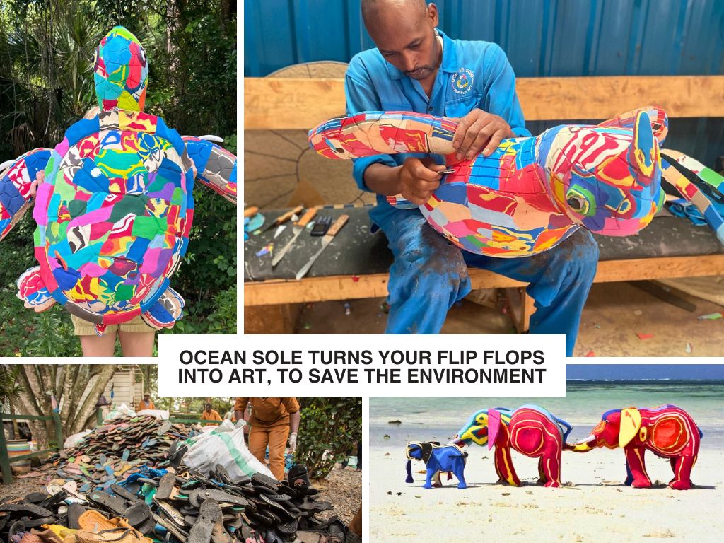 Ocean Sole convierte tus flip flops en arte, para salvar al mundo