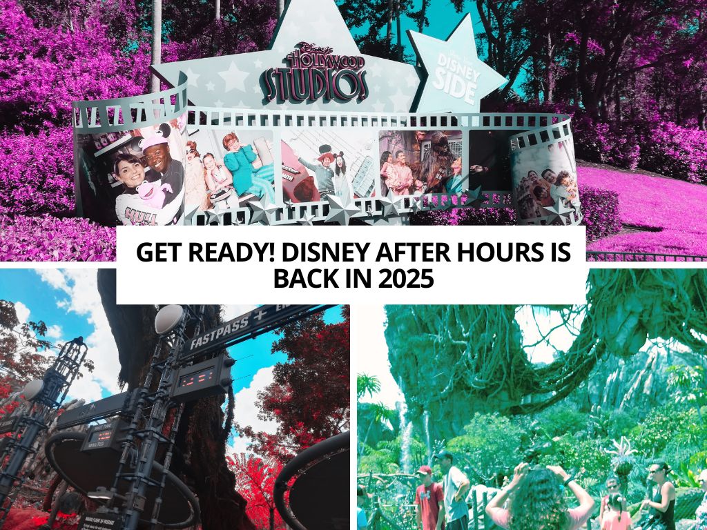 Regresa Disney After Hours 2025